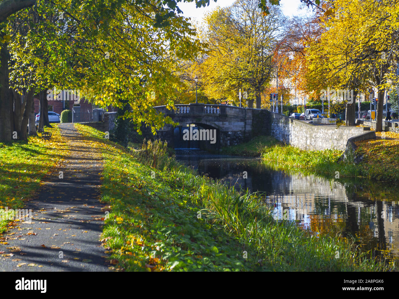 Huband Bridge Grand Canal Dublin Ireland with colorful Autumn fall ...