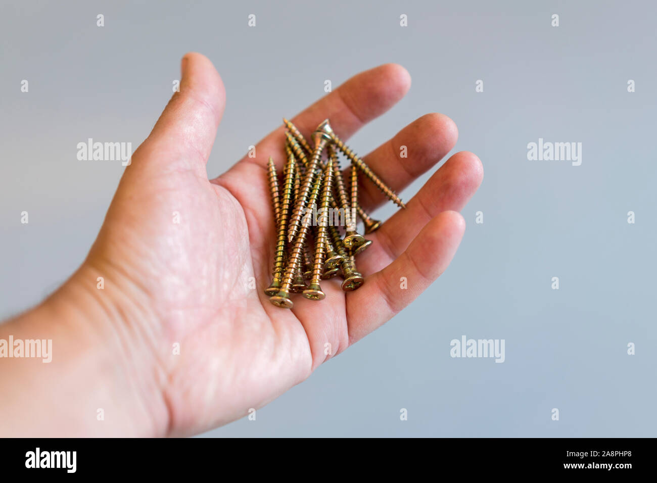 A man holds screws in his hand on a gray background. Repair and ...