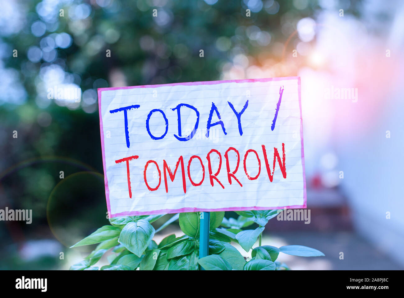 Conceptual hand writing showing Today Or Tomorrow. Concept meaning What ...