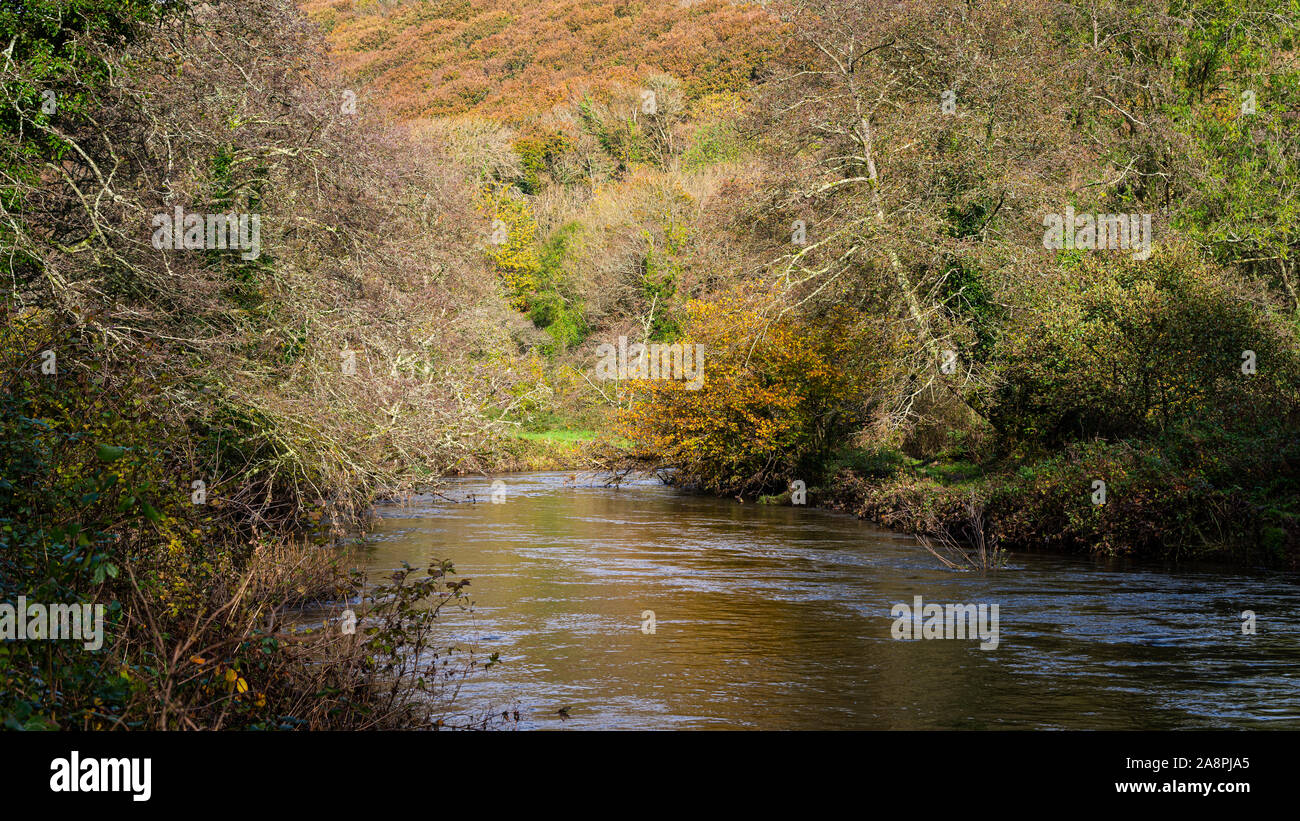 The river Camel flowing through woodland in autumn with colours ...