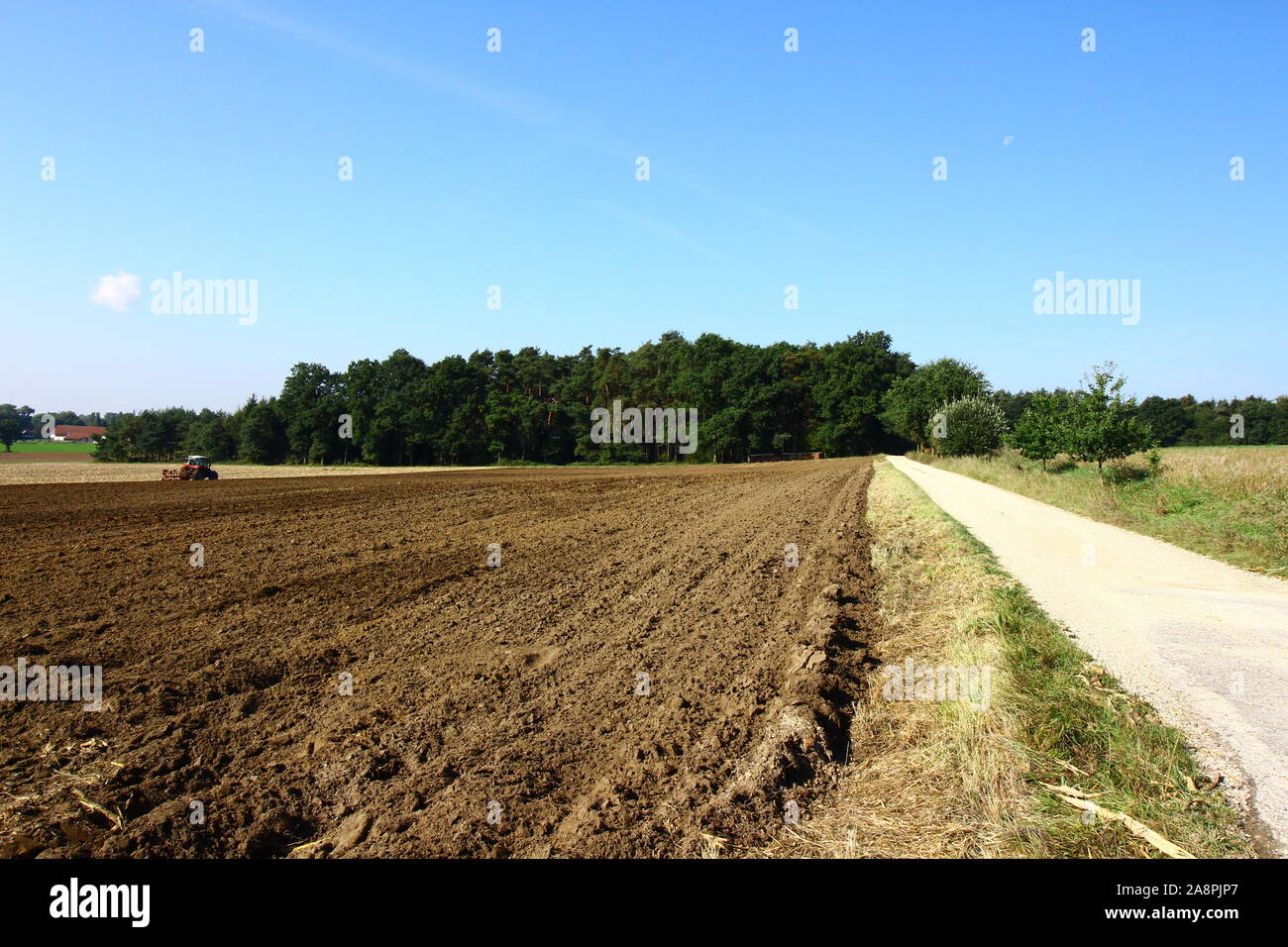 Abgeerntetes Feld in Bad Gögging in Bayern Stock Photo - Alamy