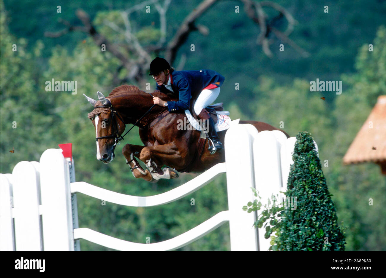 CSI Monterrey, October 1996, Hubert Bourdy, France, riding Ursula du Clery Stock Photo - Alamy
