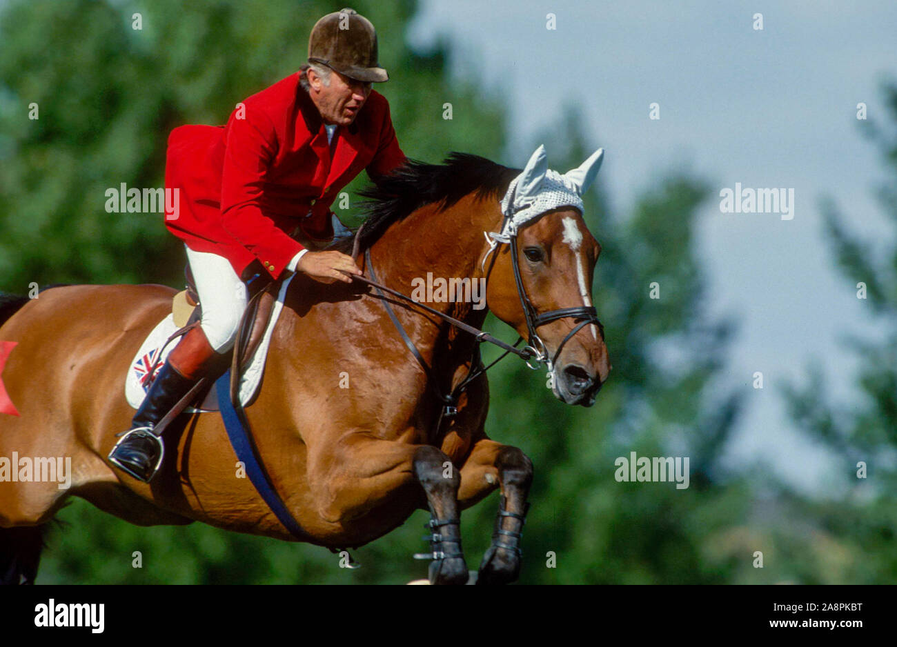 David broome equestrian hi-res stock photography and images - Alamy