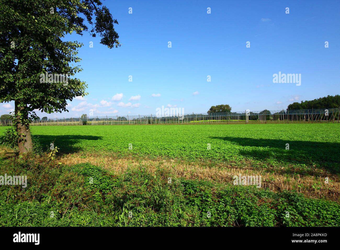 Abgeerntetes Feld High Resolution Stock Photography and Images - Alamy