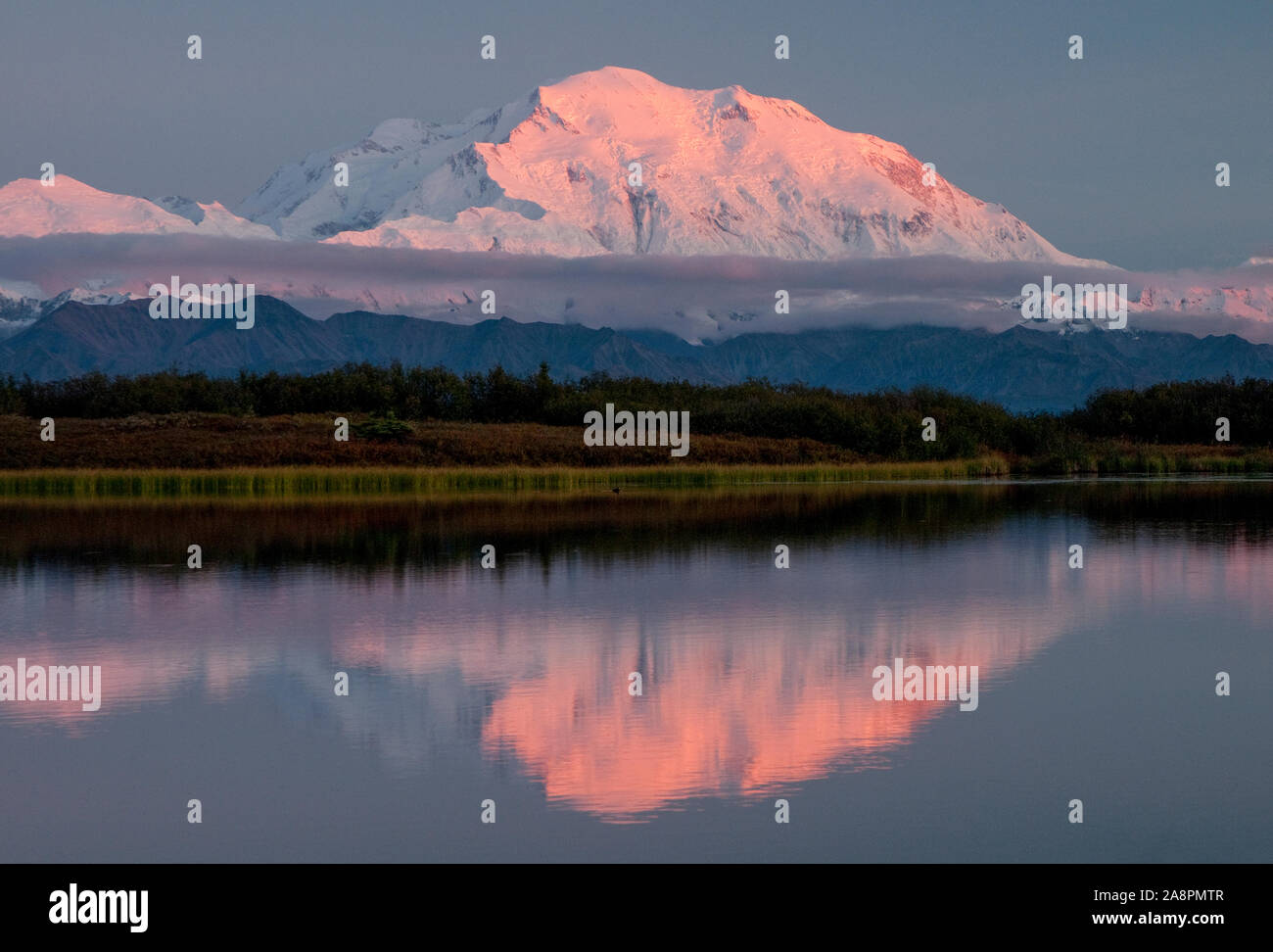 North America; United States; Alaska; Alaska Range Mountains; Denali ...