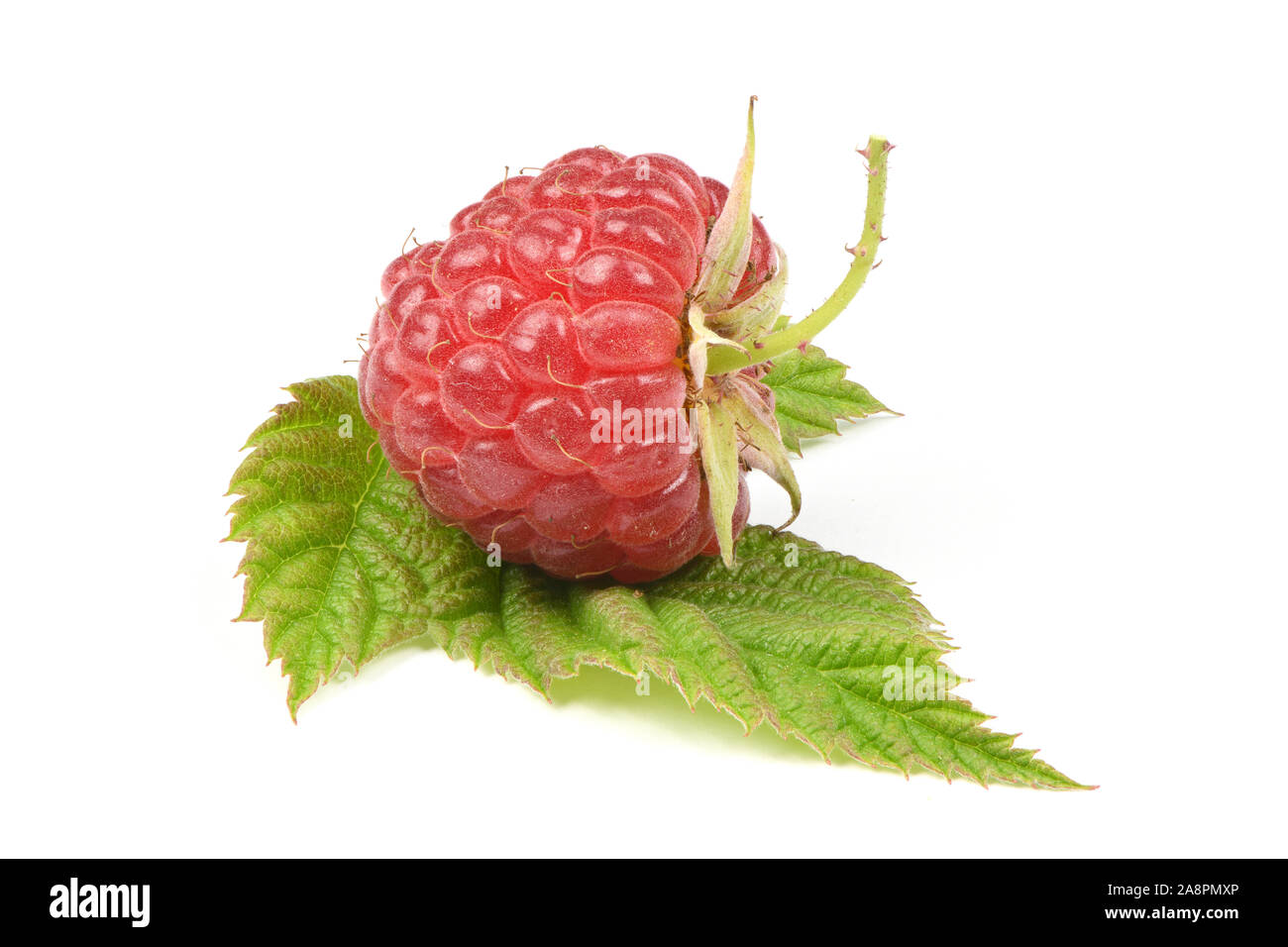 Ripe raspberry isolated white background. High resolution photo. Full ...