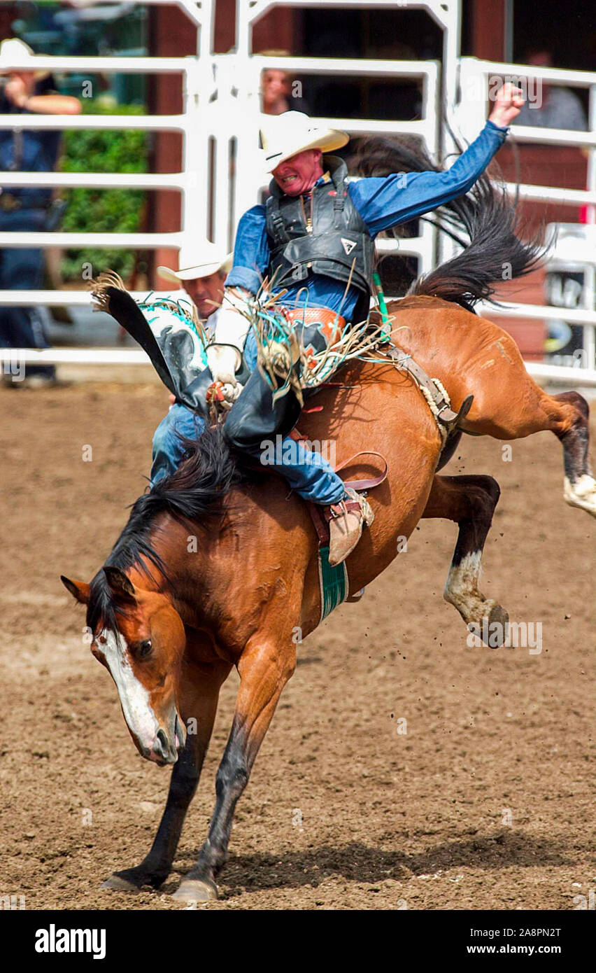 Bucking bronco ride hi-res stock photography and images - Alamy
