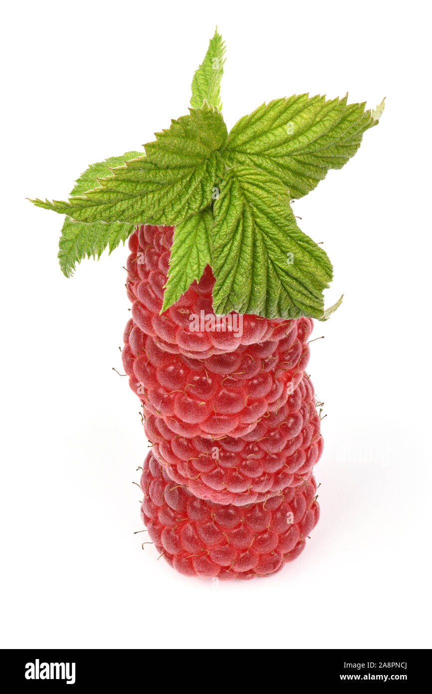Four raspberries stacked on top of each other, isolated on white ...