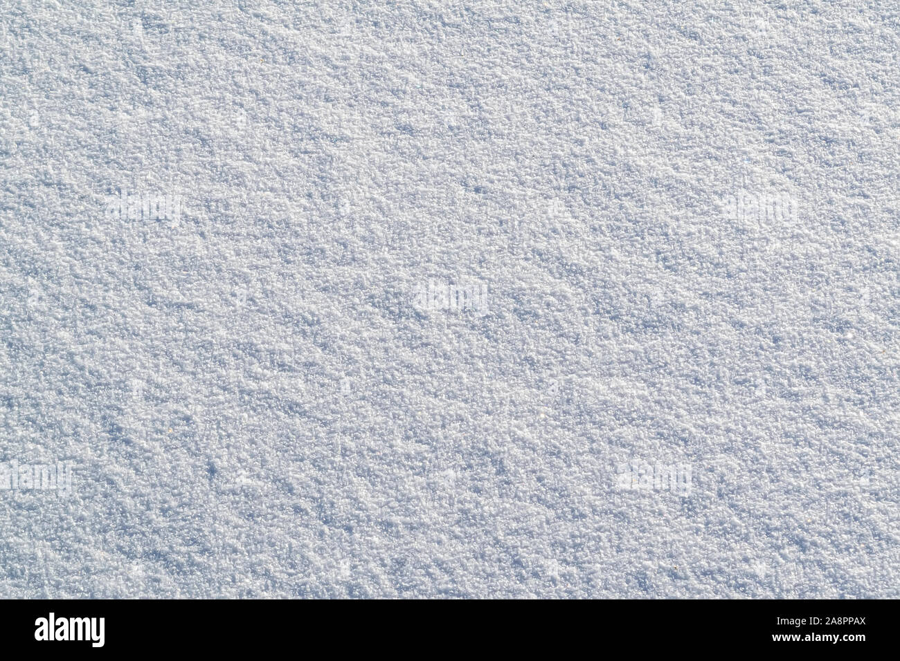 The texture of pure white snow close-up. White real snow background ...