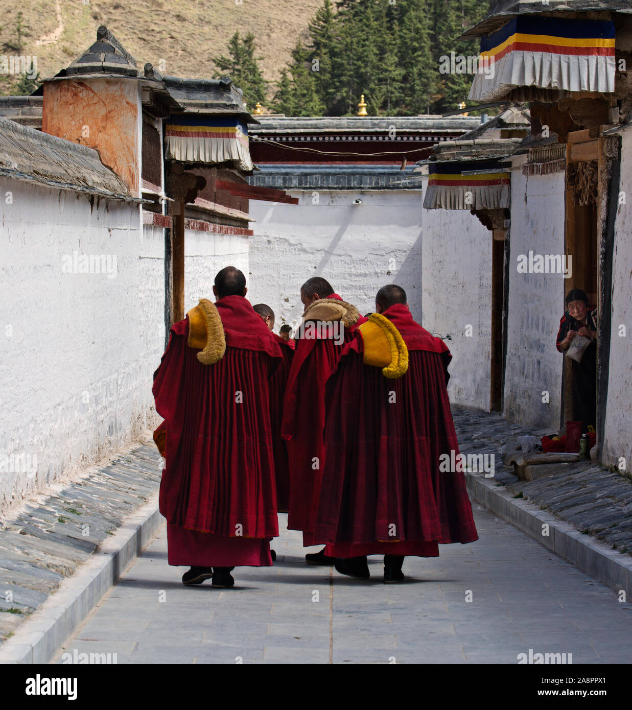 Monks at the streets of Labrang Monastery, China Stock Photo - Alamy