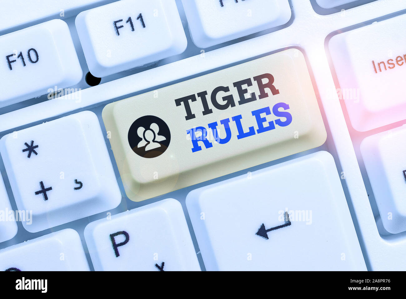 Conceptual hand writing showing Tiger Rules. Concept meaning Willpower ...