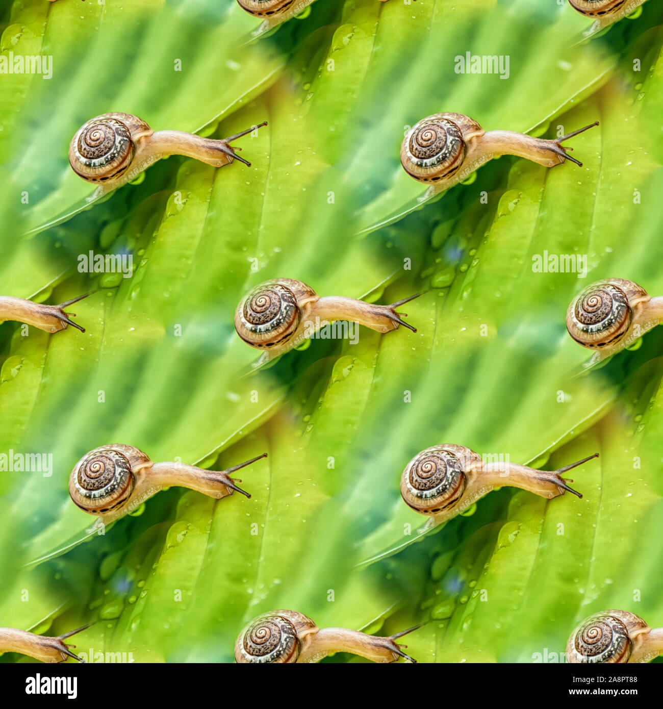 Tentacle texture hi-res stock photography and images - Alamy
