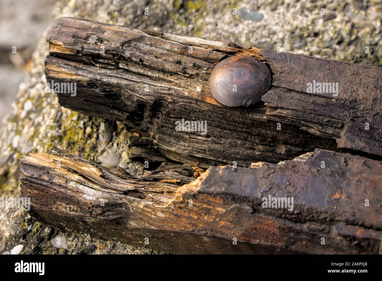 Old rotten plank nailed to the concrete on a public park Stock Photo ...