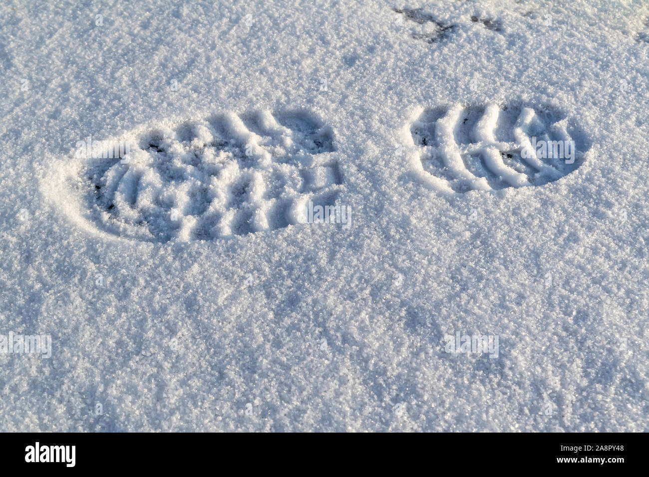 Footprints in the snow. Clear tread imprint on the sole of the boot on ...