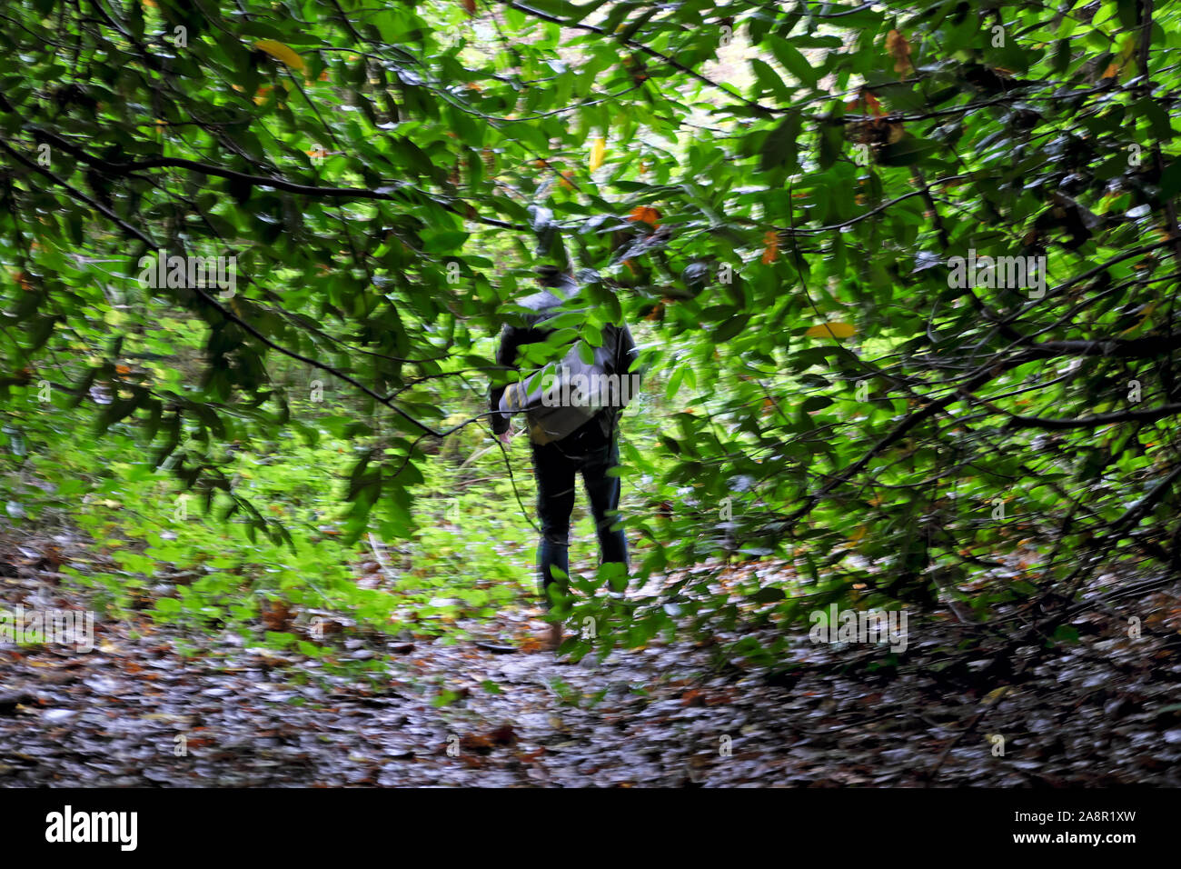 Overgrown garden uk hi-res stock photography and images - Alamy