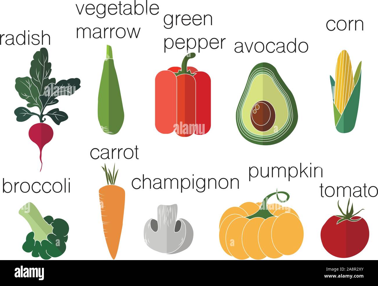 Avocado,radish,marrow,pepper,corn,broccoli,carrot,champignon,pumpkin ...