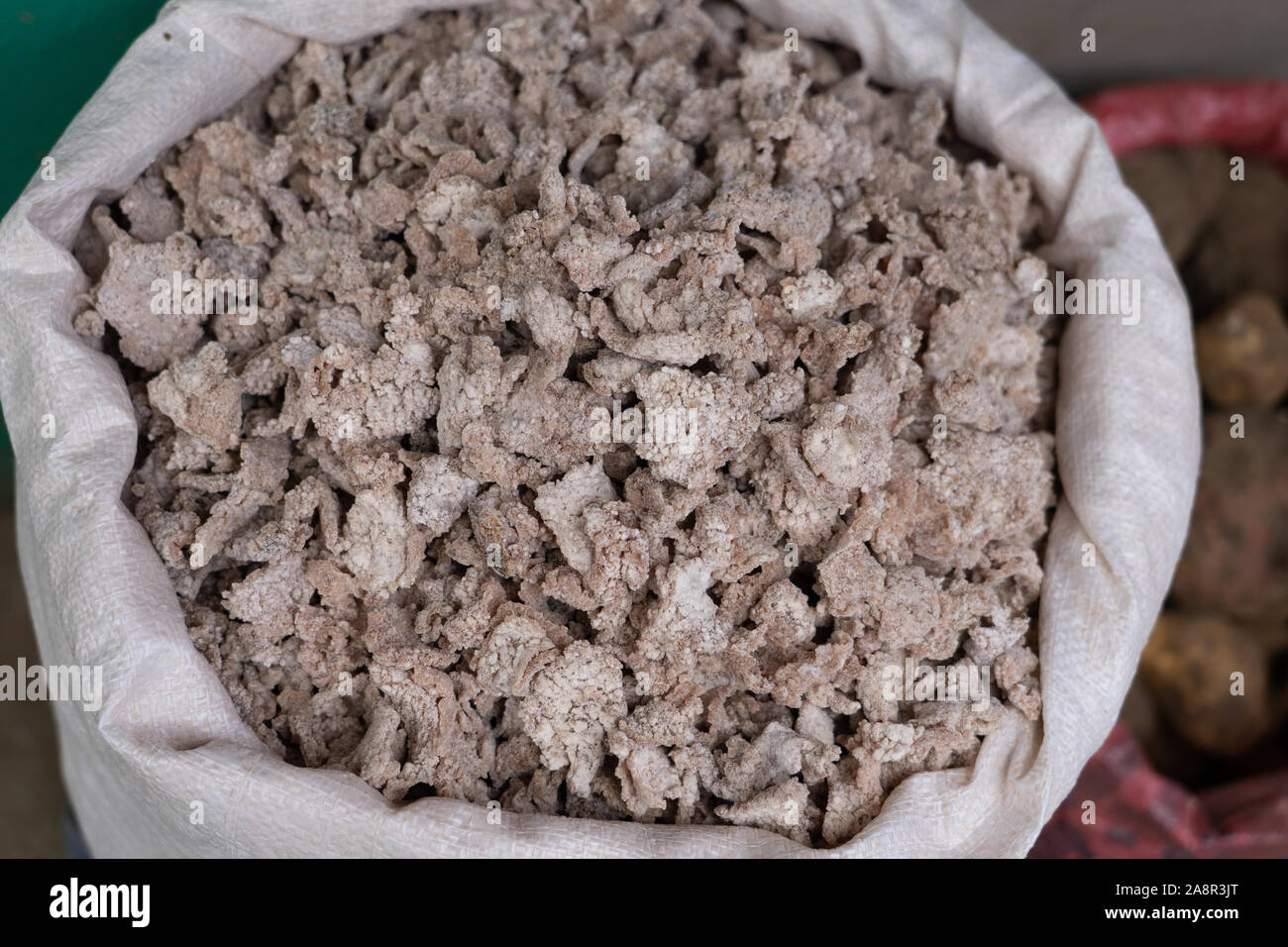 Known as Landang in the Visayas region of the Philippines.It is a ...