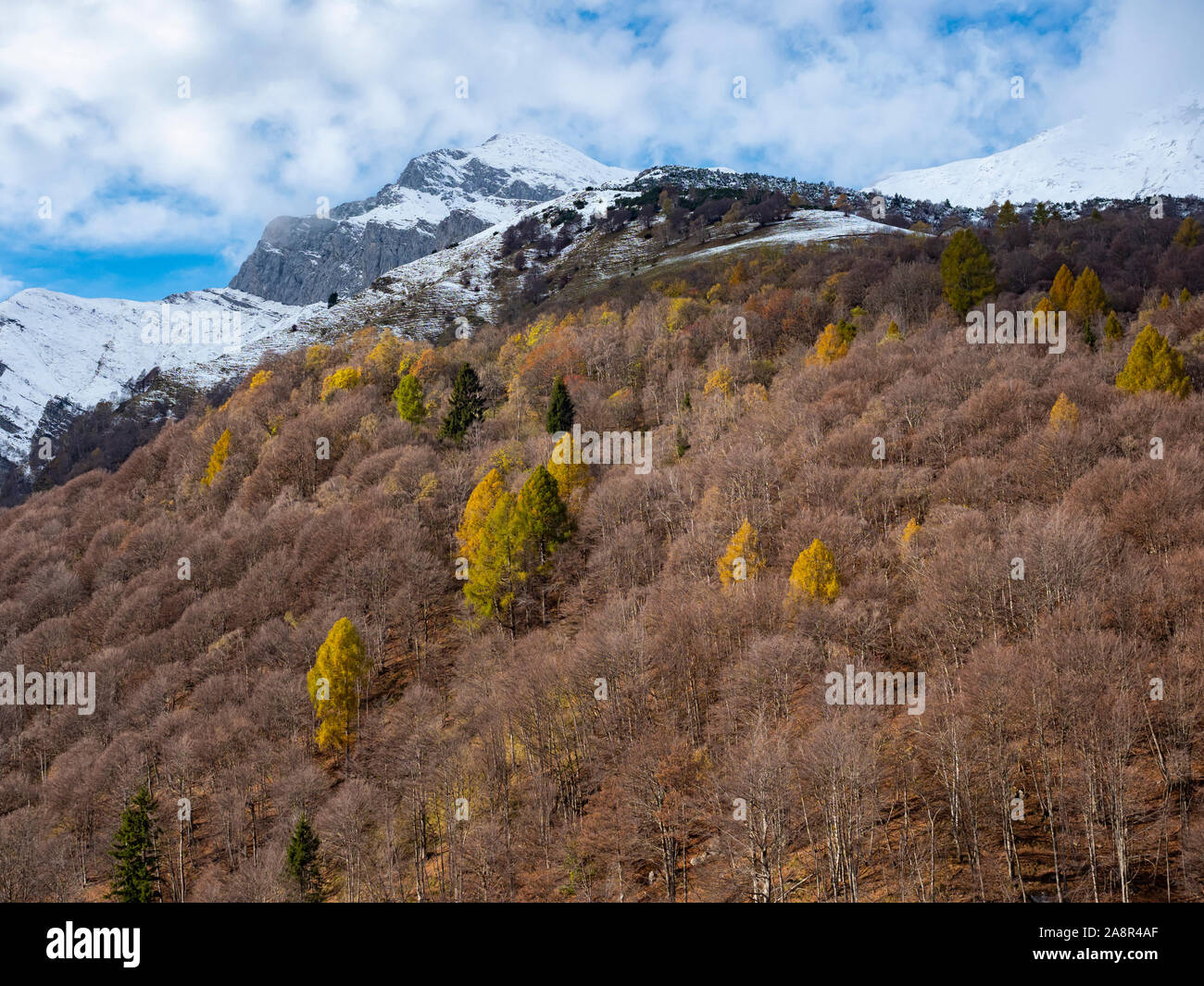 Autumn colors in the italian alps on Grigna mountain Stock Photo - Alamy