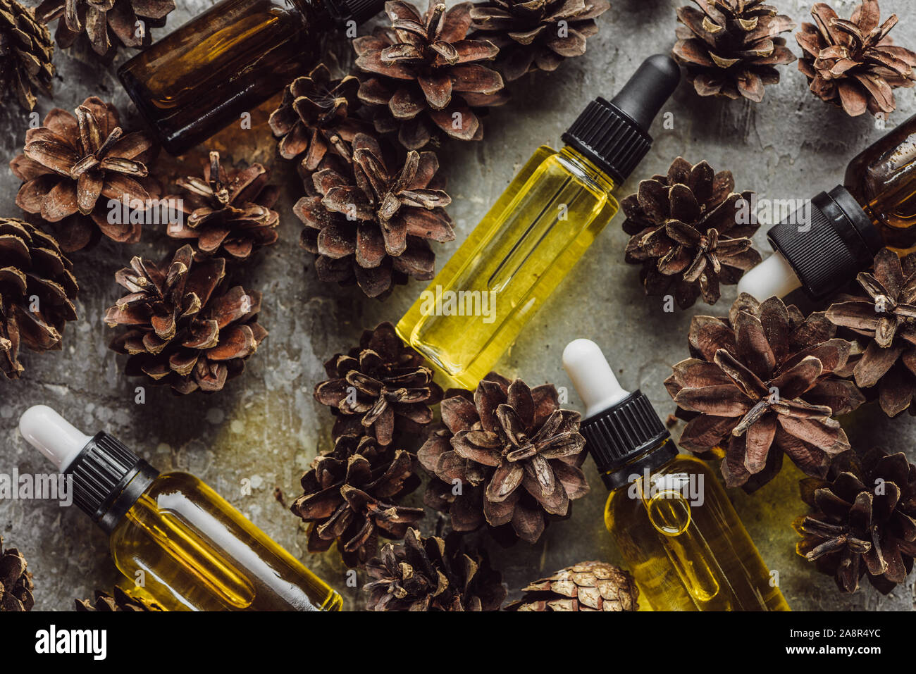 top view of bottles with natural oil near dry spruce cones on grey ...