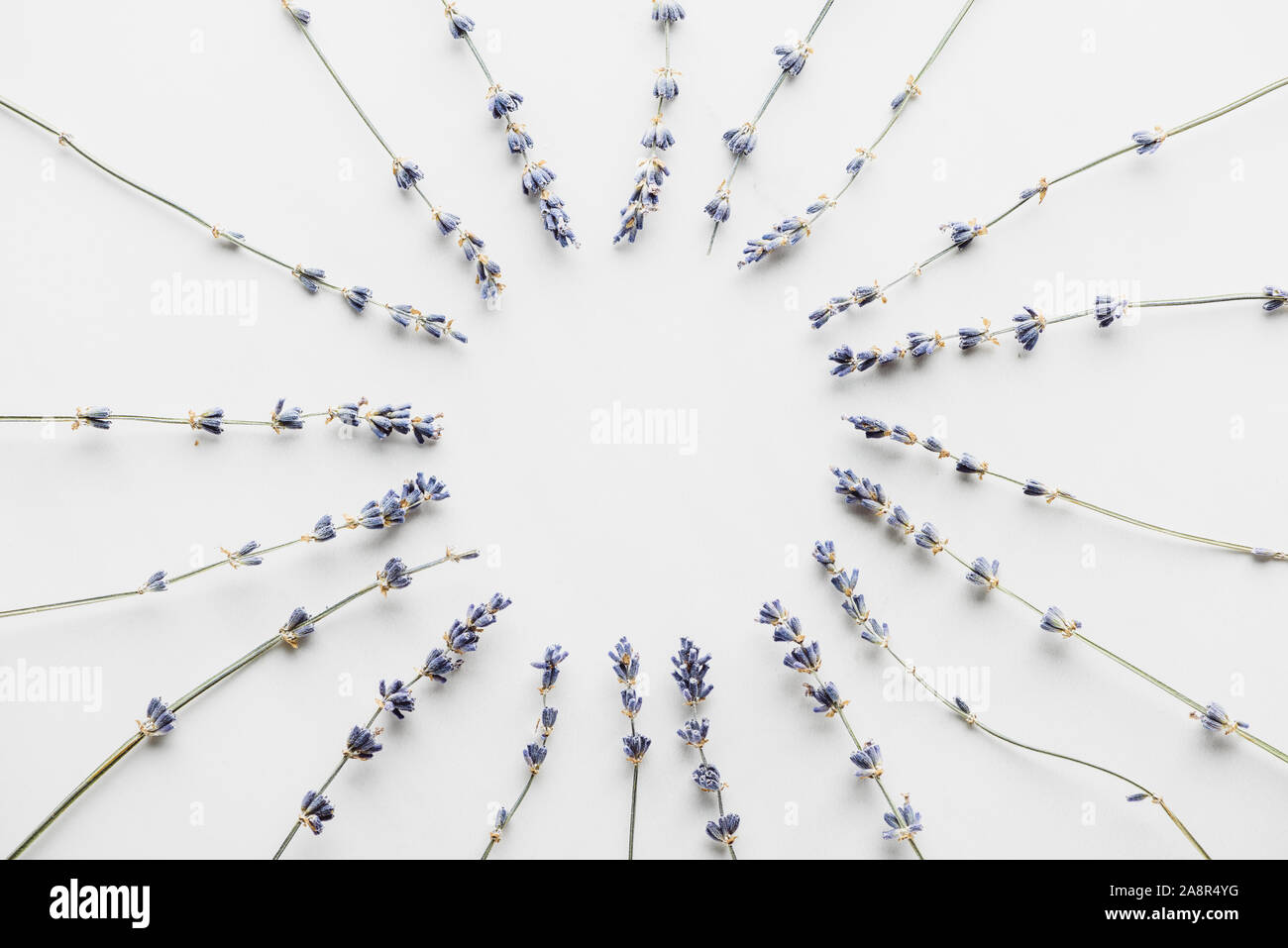 Circle of twigs hi-res stock photography and images - Alamy
