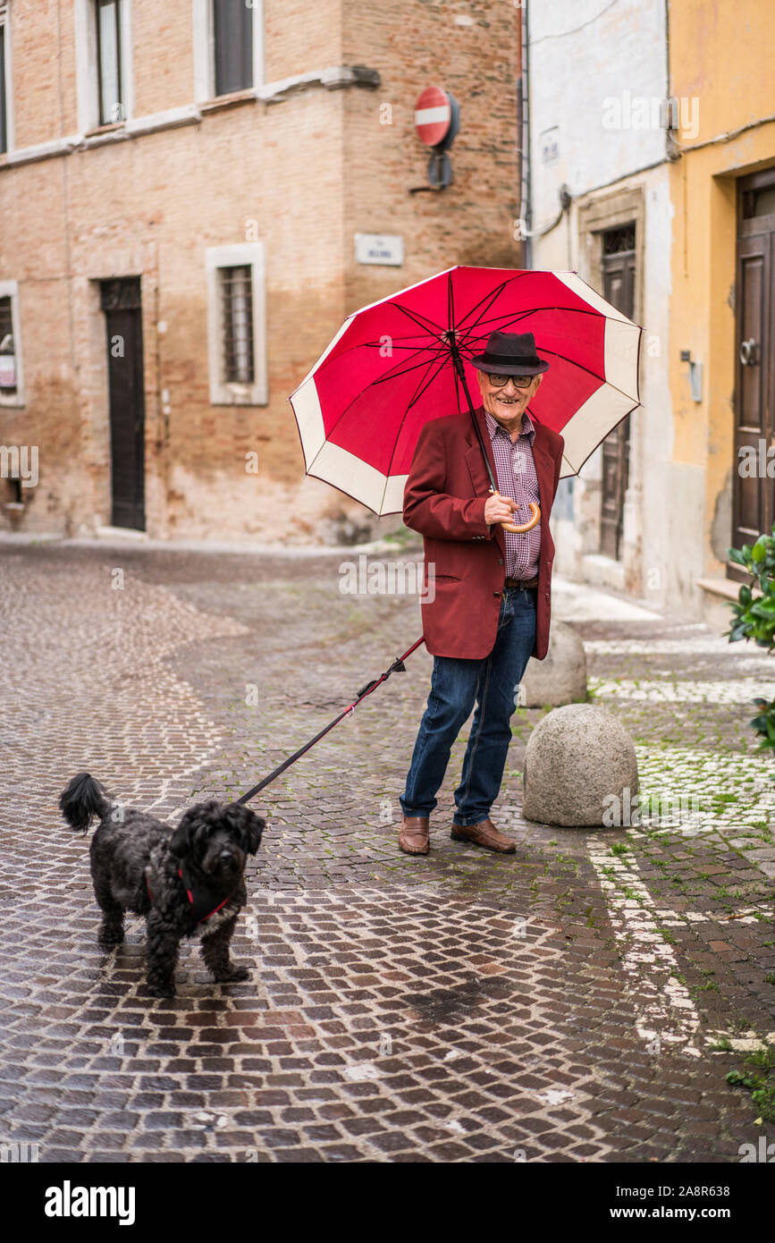 Marche italy dog hi-res stock photography and images - Alamy