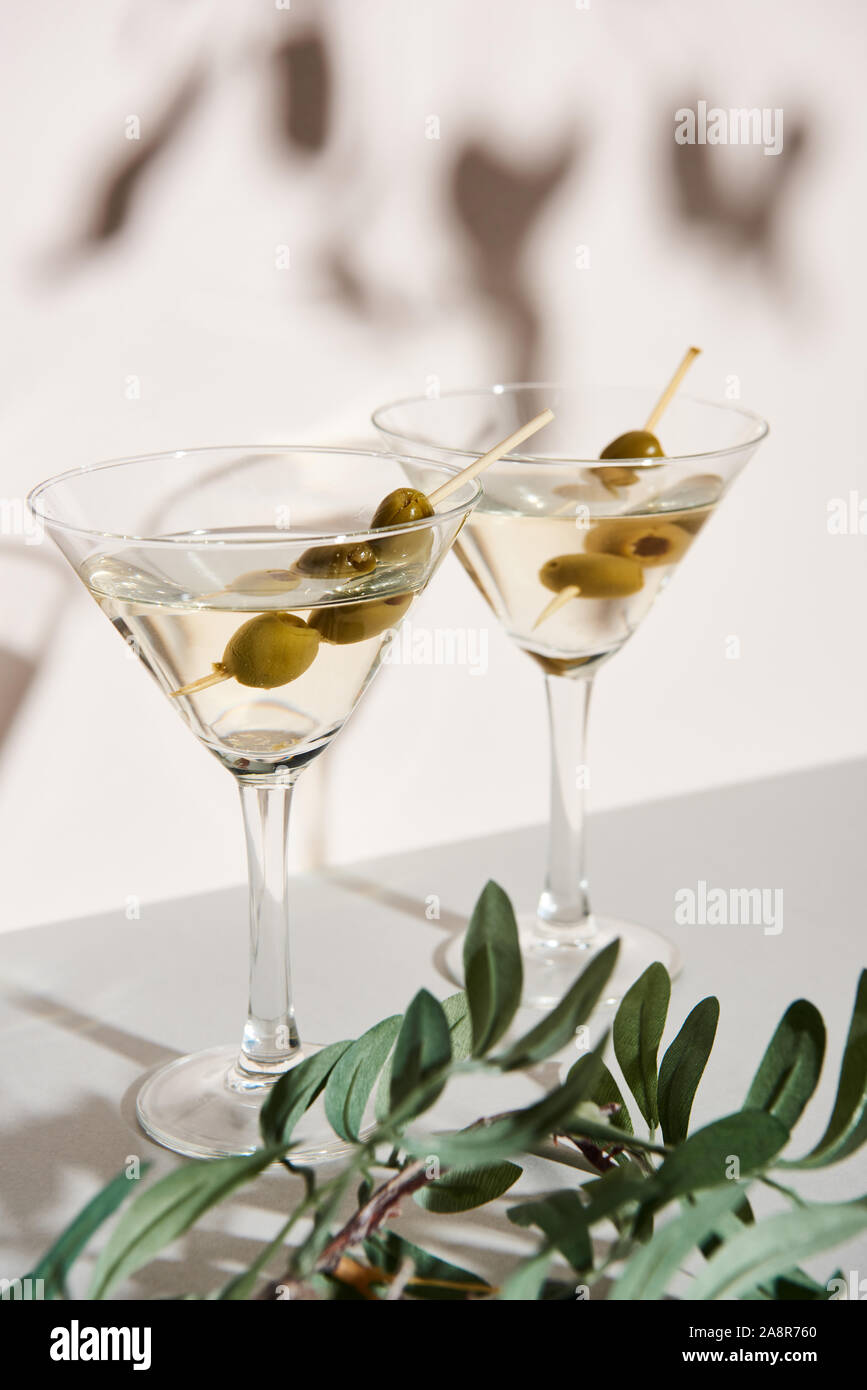 Martini with olives and olive branch on white background Stock Photo ...