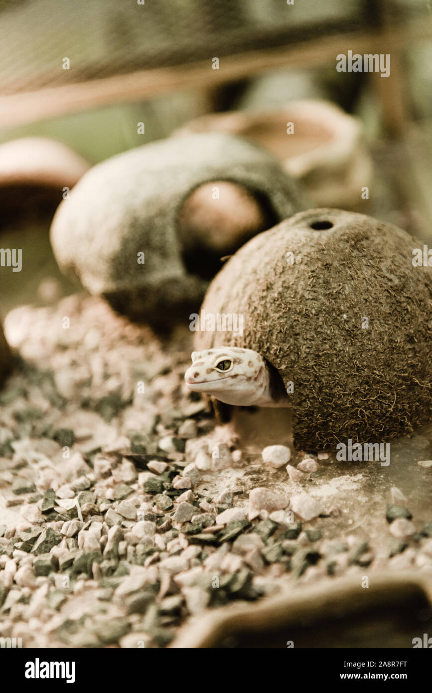 Dotted stones hi-res stock photography and images - Alamy
