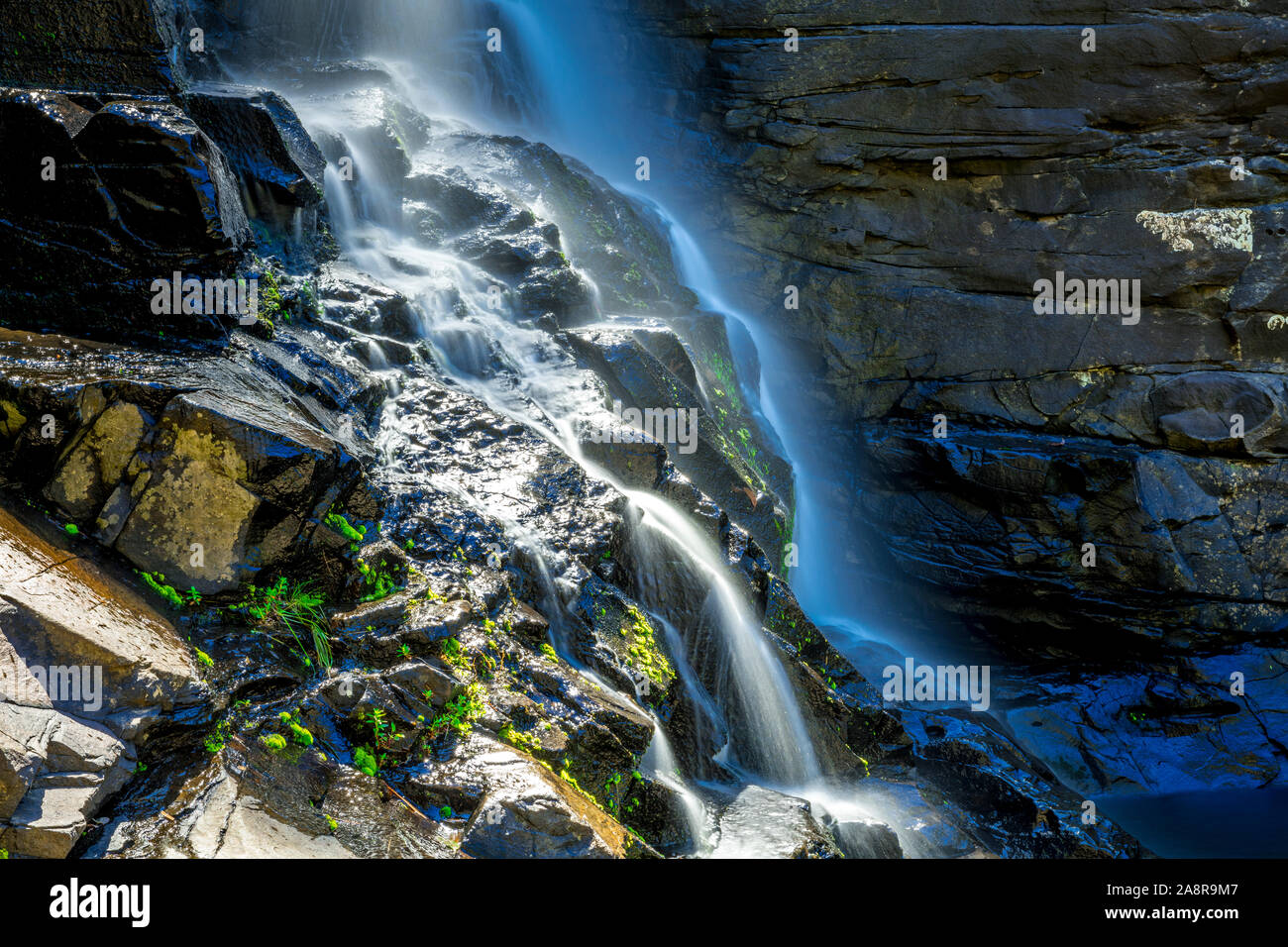 Sheoak Falls in the Great Otway National Park, near Lorne, Victoria ...