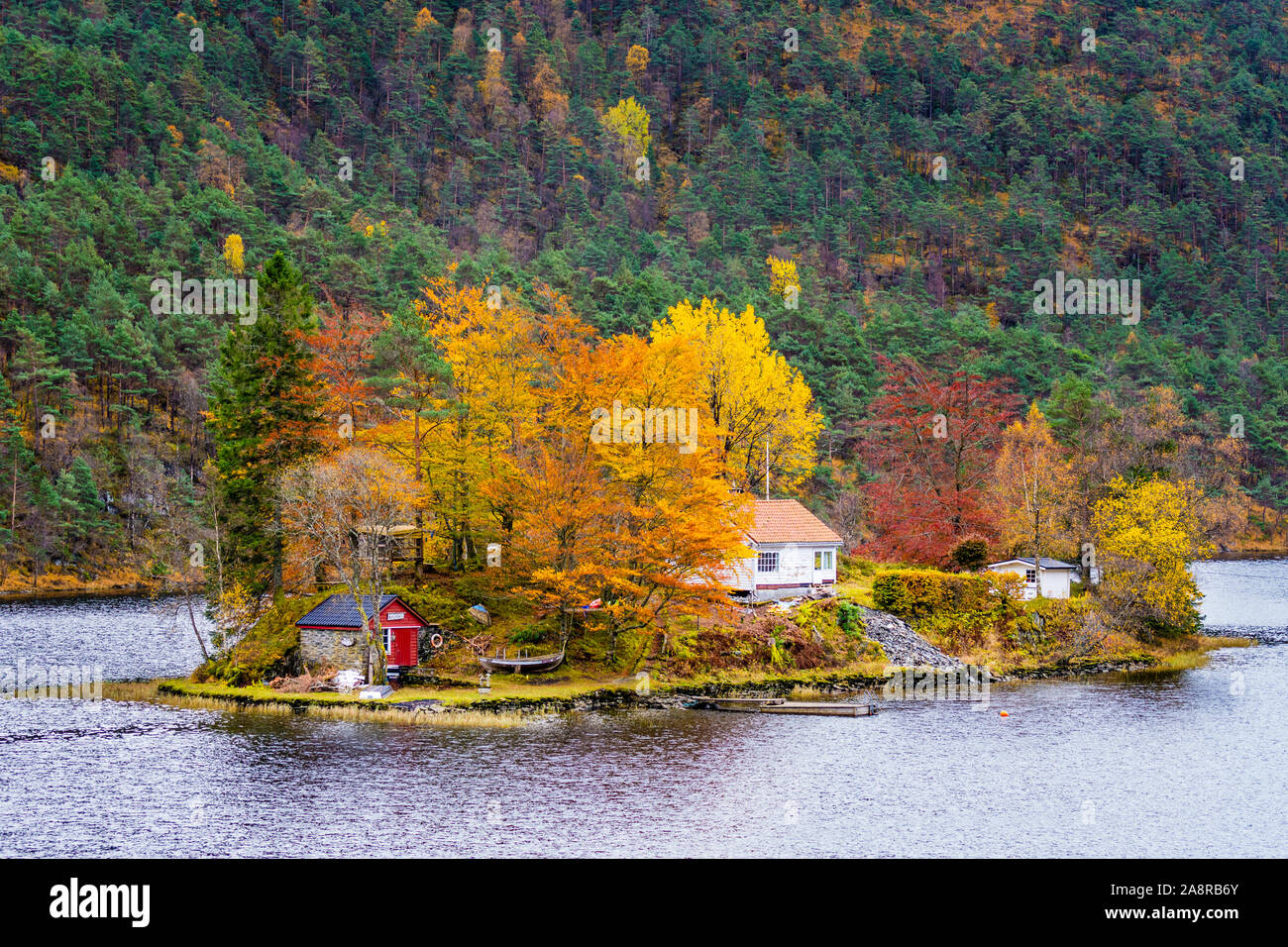 Autumn colours in Fana, Bergen, Norway Stock Photo - Alamy