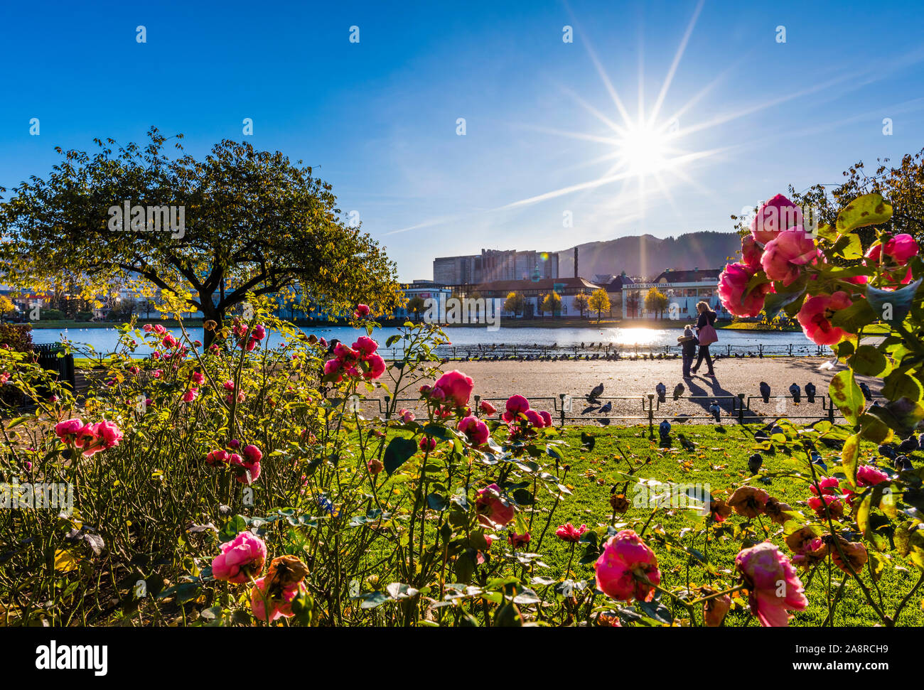 Hoostbilder bergen hi-res stock photography and images - Alamy
