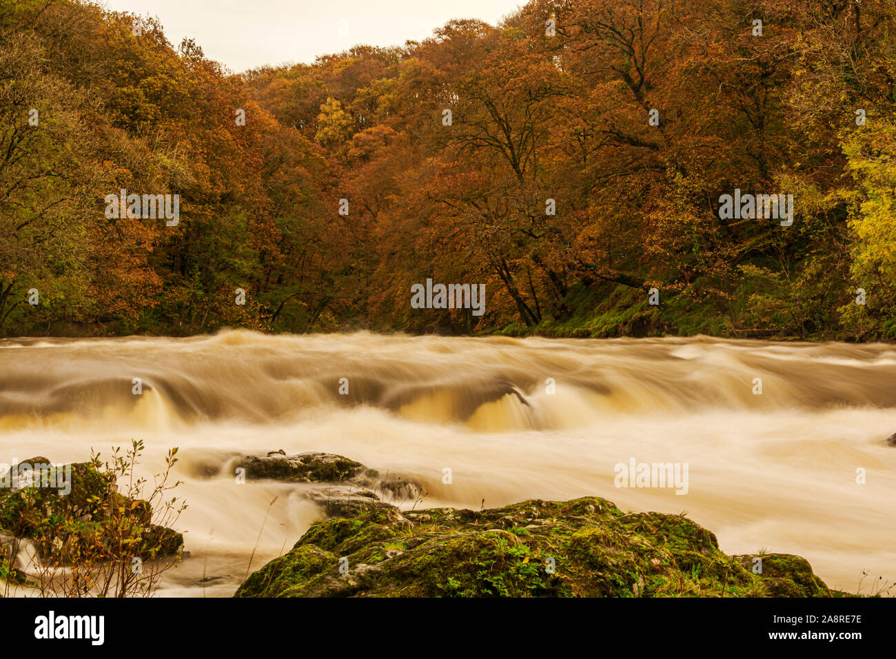 Teifi valley hi-res stock photography and images - Alamy