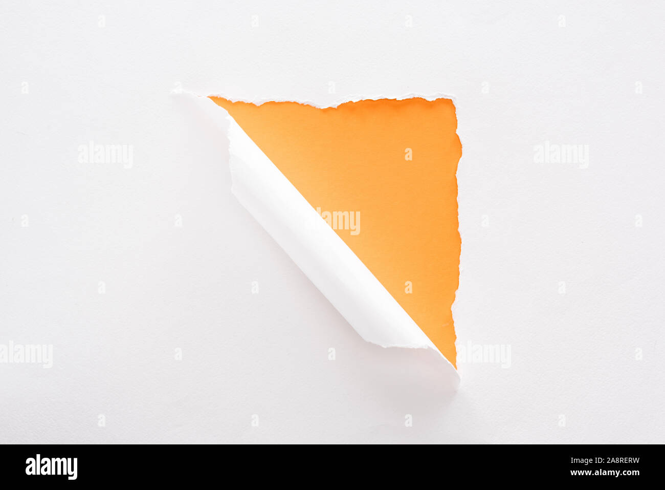 white torn and rolled paper on colorful orange background Stock Photo ...