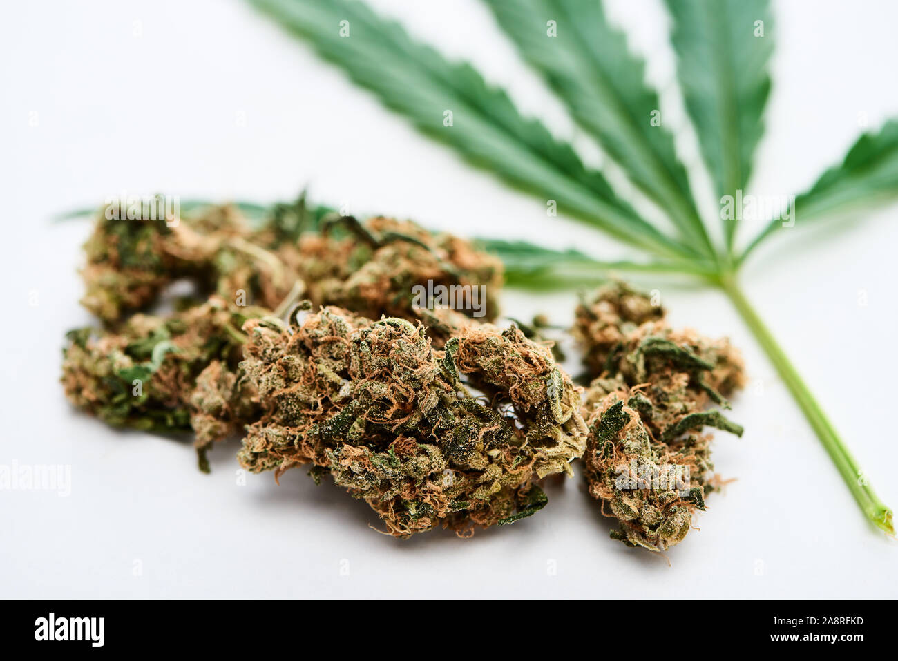 close up view of green cannabis leaf and marijuana buds on white background Stock Photo - Alamy