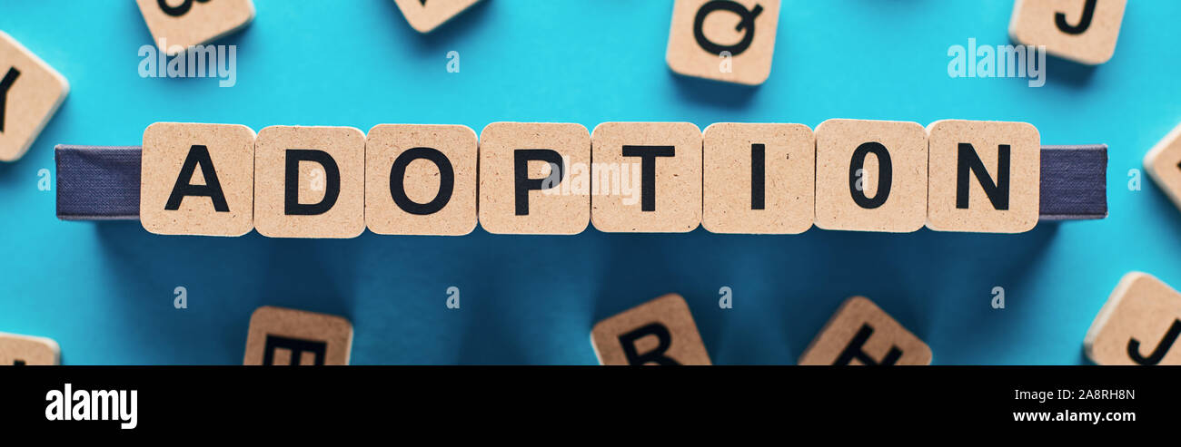 top view of wooden blocks with adoption lettering on blue background ...