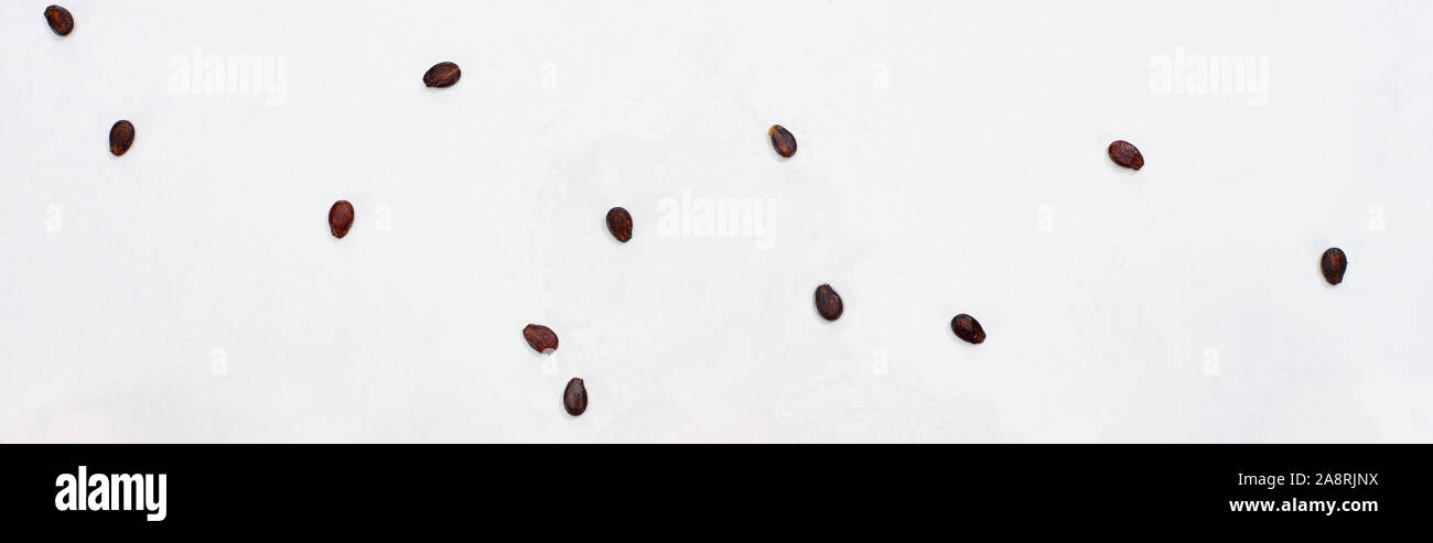 panoramic shot of fresh watermelon seeds on white background Stock ...