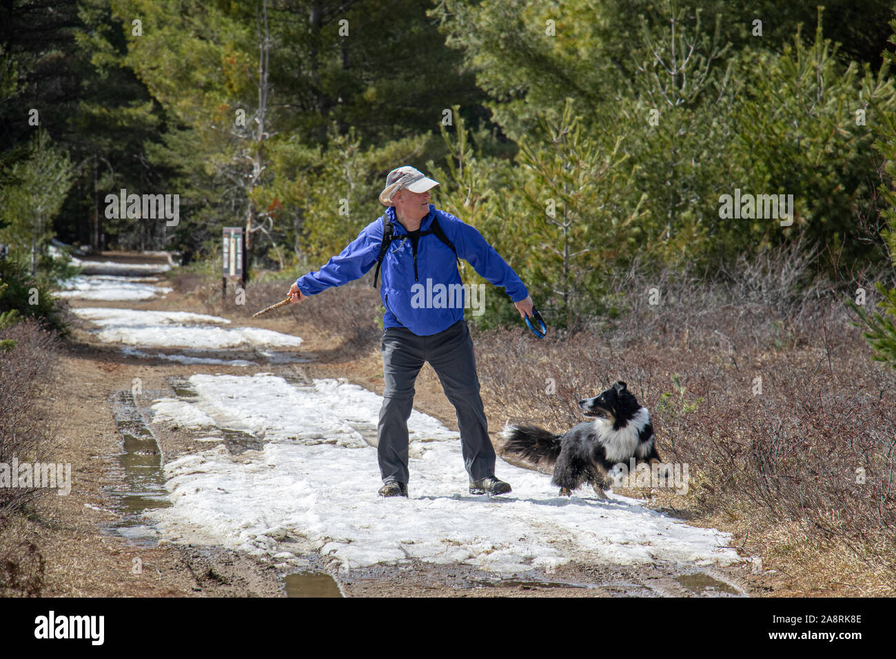 Man with dog throwing stick hi-res stock photography and images - Alamy