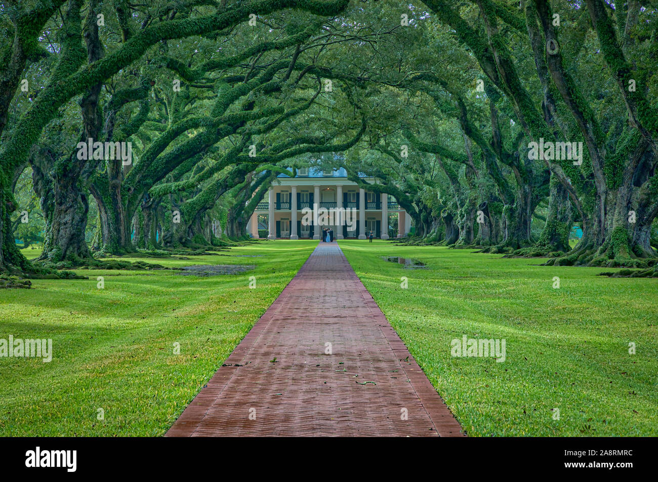 Oak Alley Plantation Stock Photo - Alamy