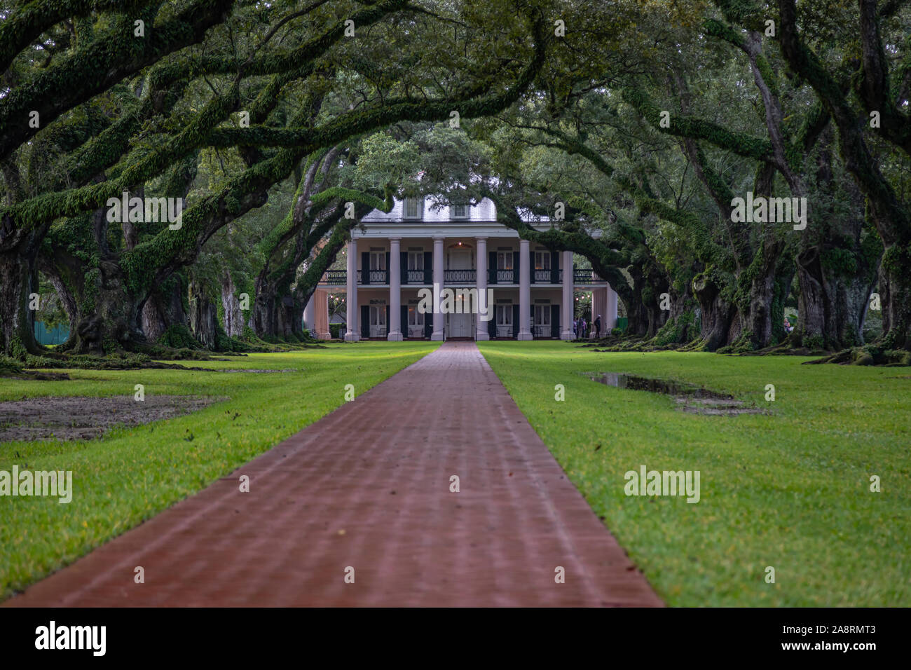 Oak Alley Plantation Stock Photo - Alamy