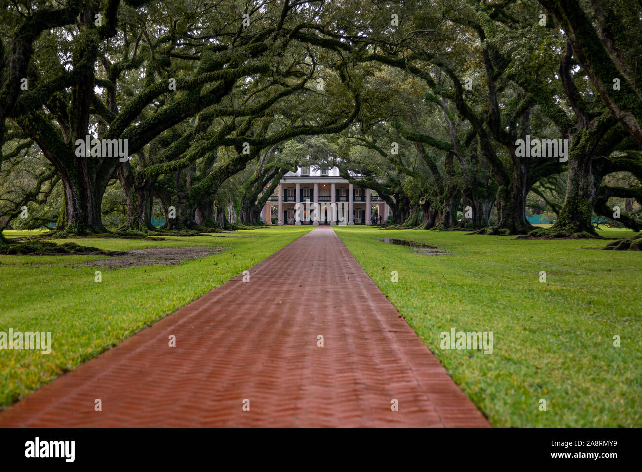 Oak Alley Plantation Stock Photo - Alamy