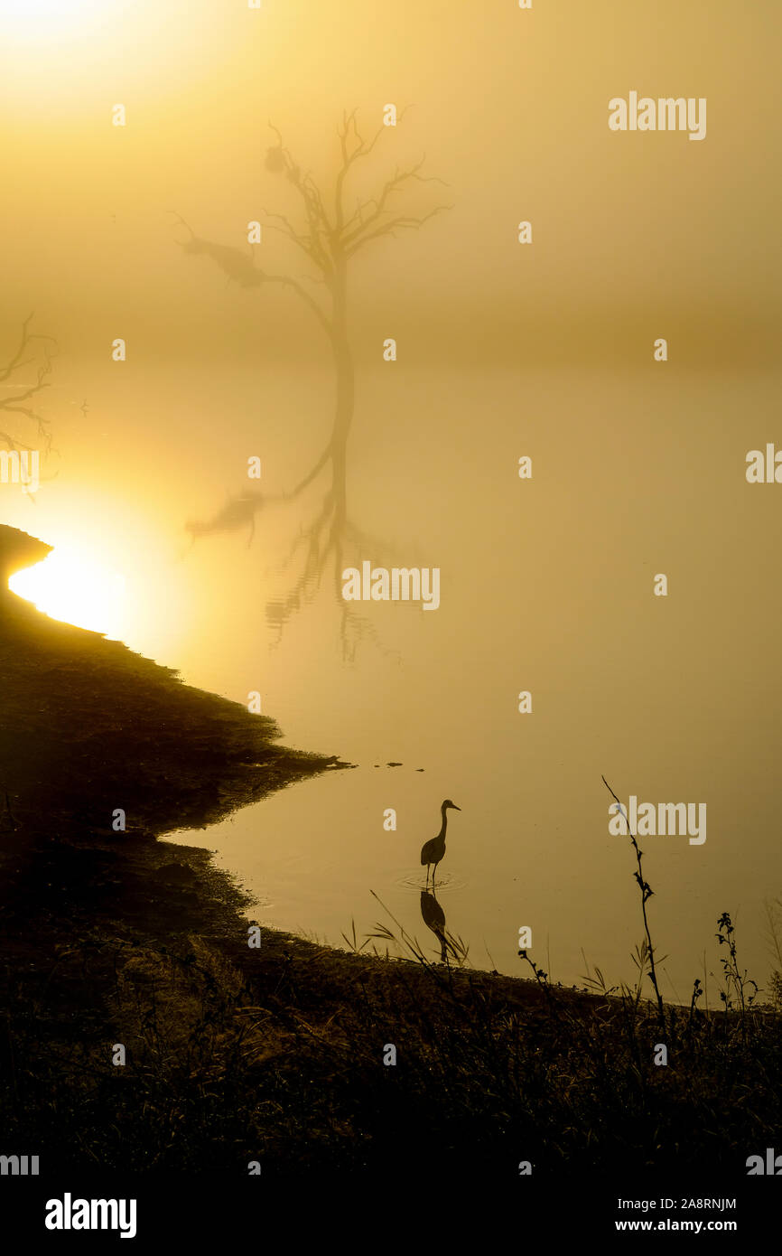 Beautiful scenery sunshine backlight hi-res stock photography and ...