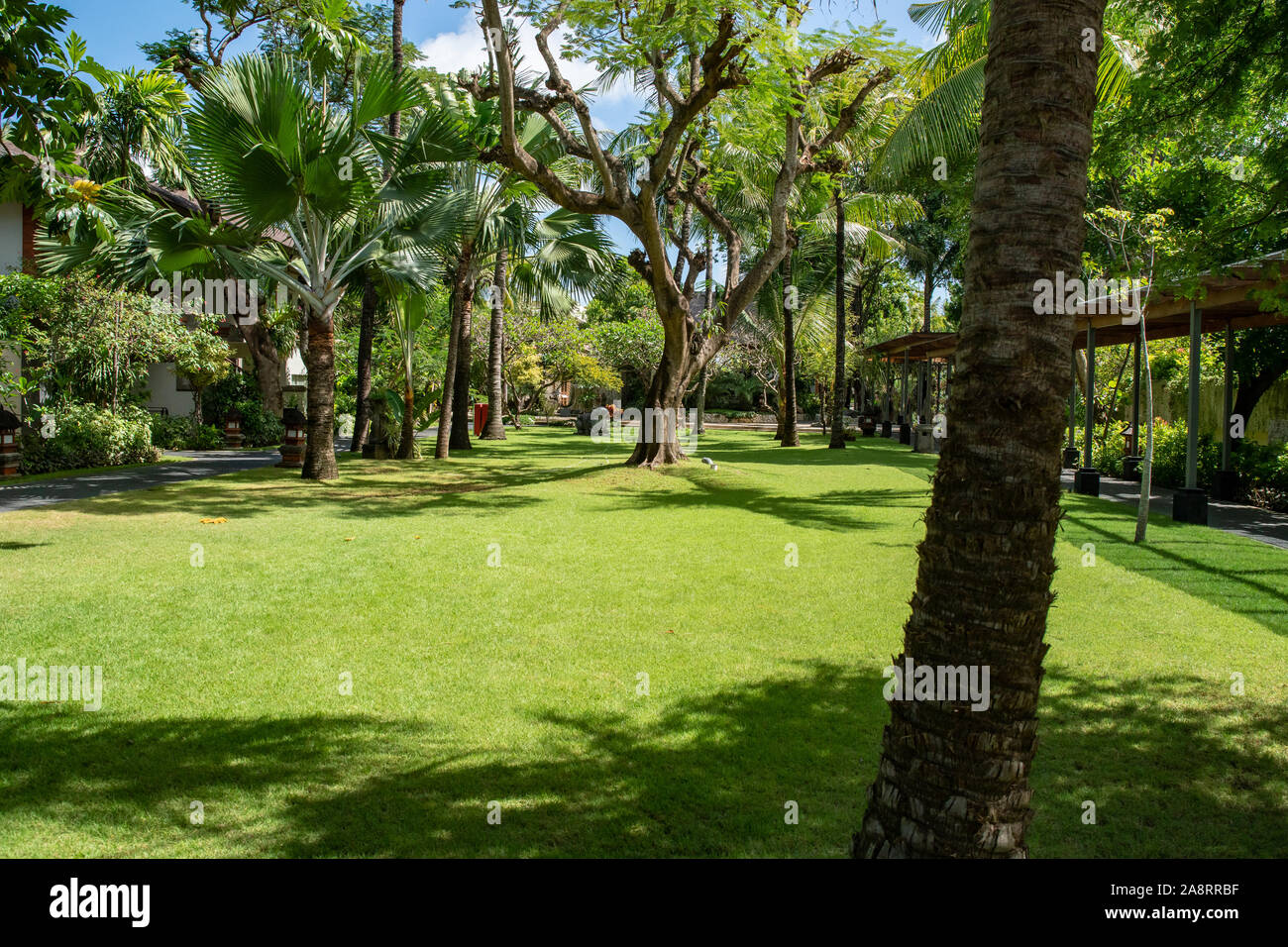 Landscaped manicured gardens full of tropical plants and palm trees ...