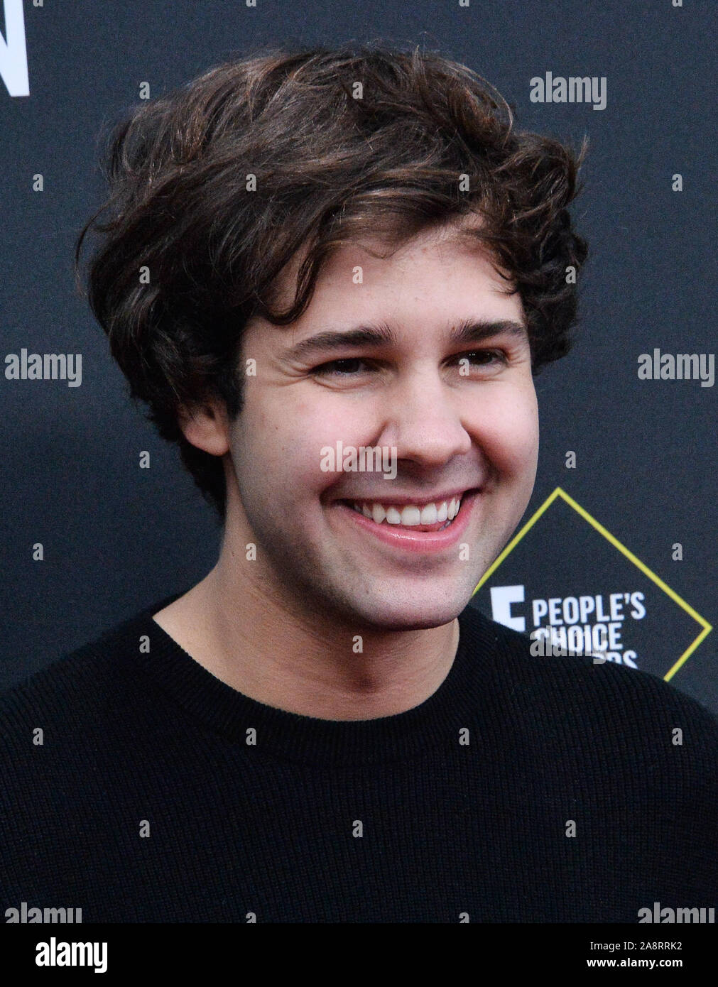 Santa Monica, USA. 10th Nov, 2019. Actor David Dobrik arrives for the ...