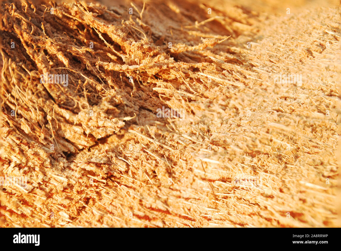 Coconut fiber hi-res stock photography and images - Alamy