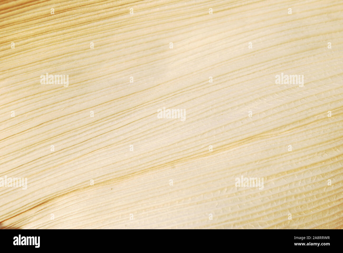 Cream Colored Stripes High Resolution Stock Photography and Images - Alamy