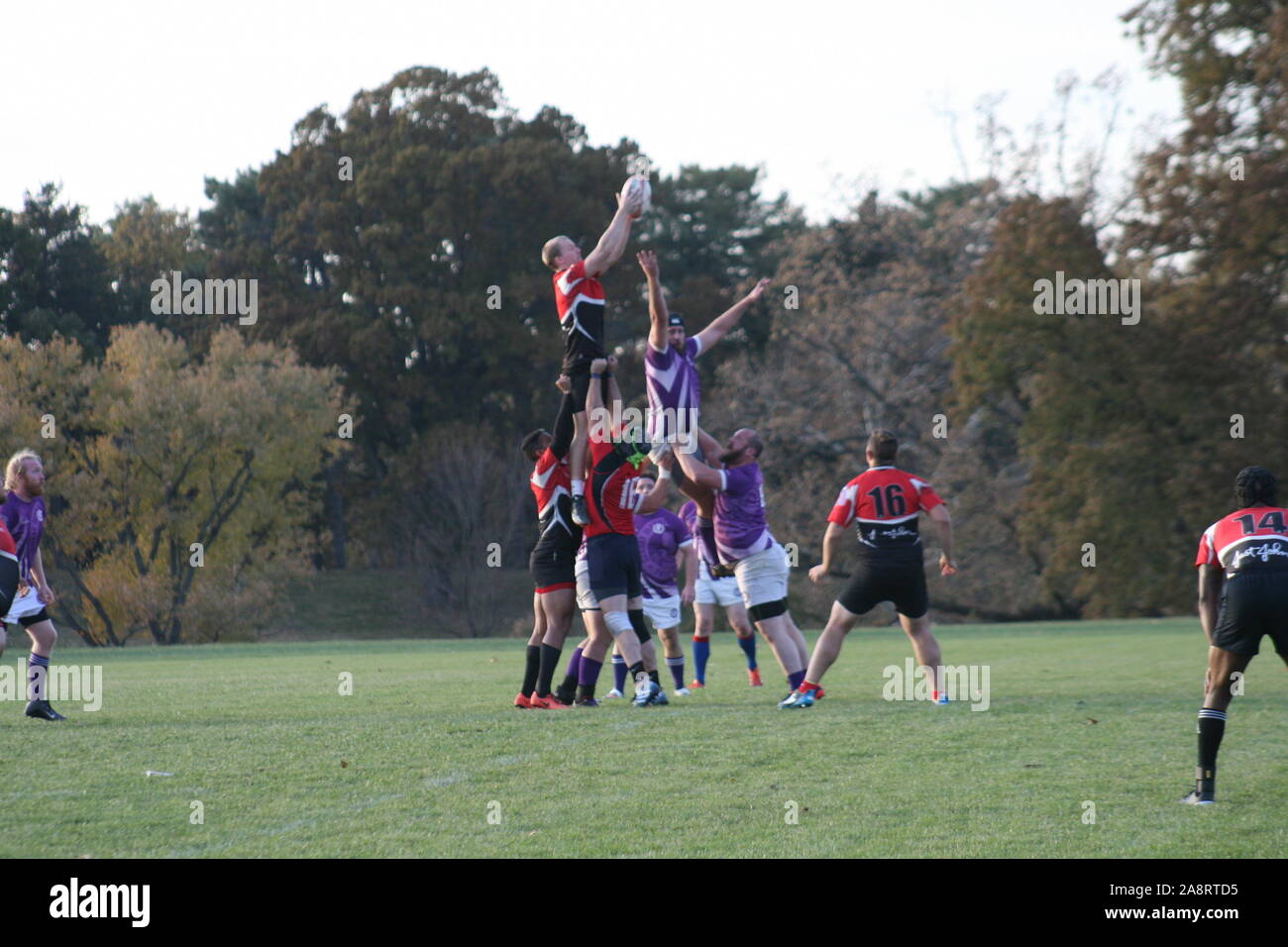 Rugby Season in St. Louis, Missouri, USA Stock Photo - Alamy