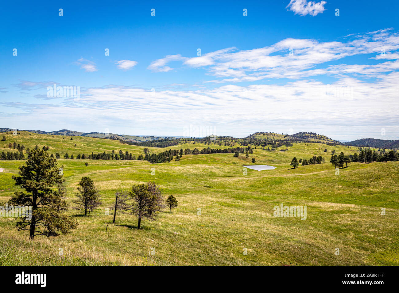 A viewpoint along the Wildlife Loop Road at Custer State Park in the ...