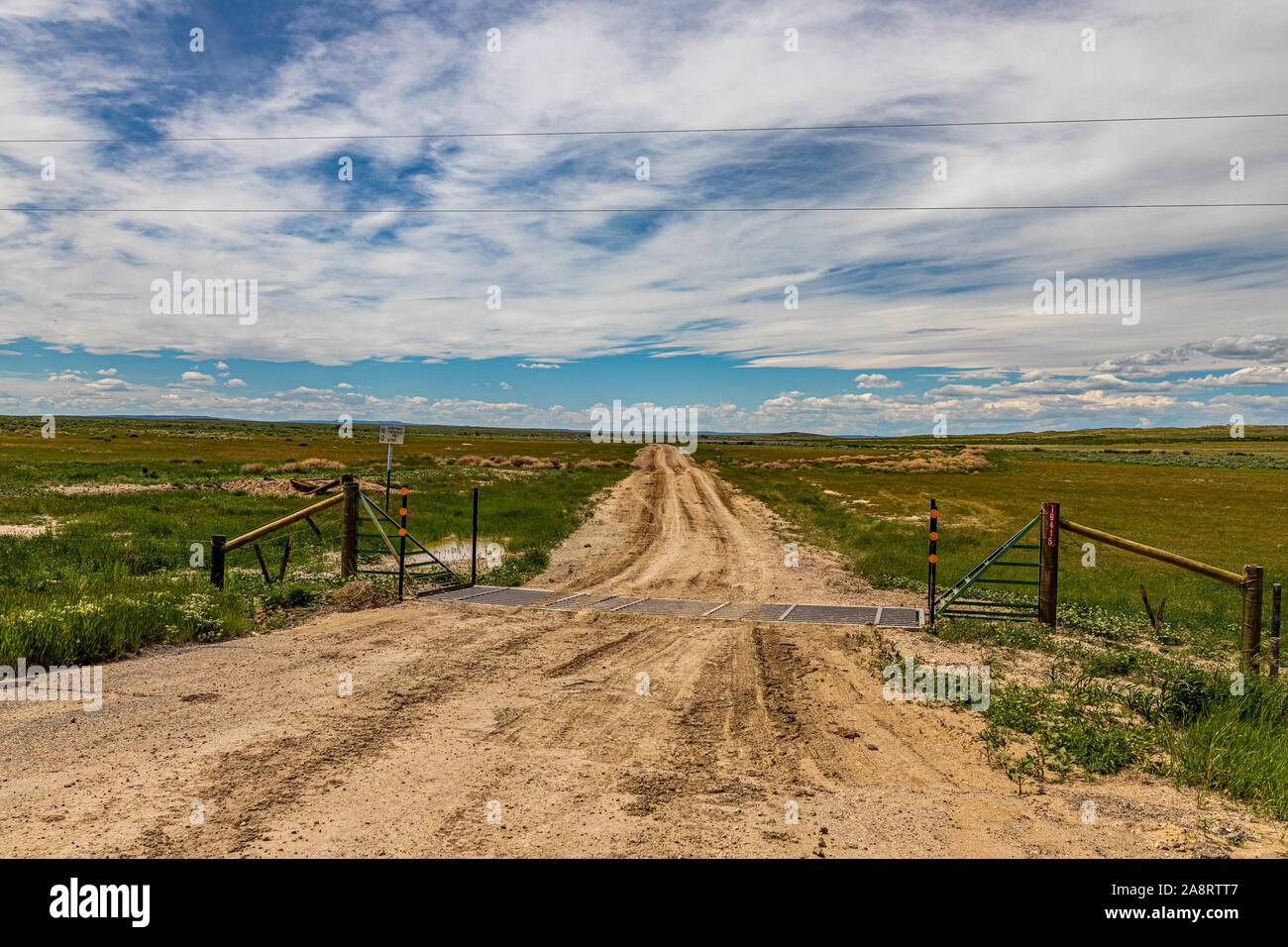 Cattle guard hi-res stock photography and images - Alamy