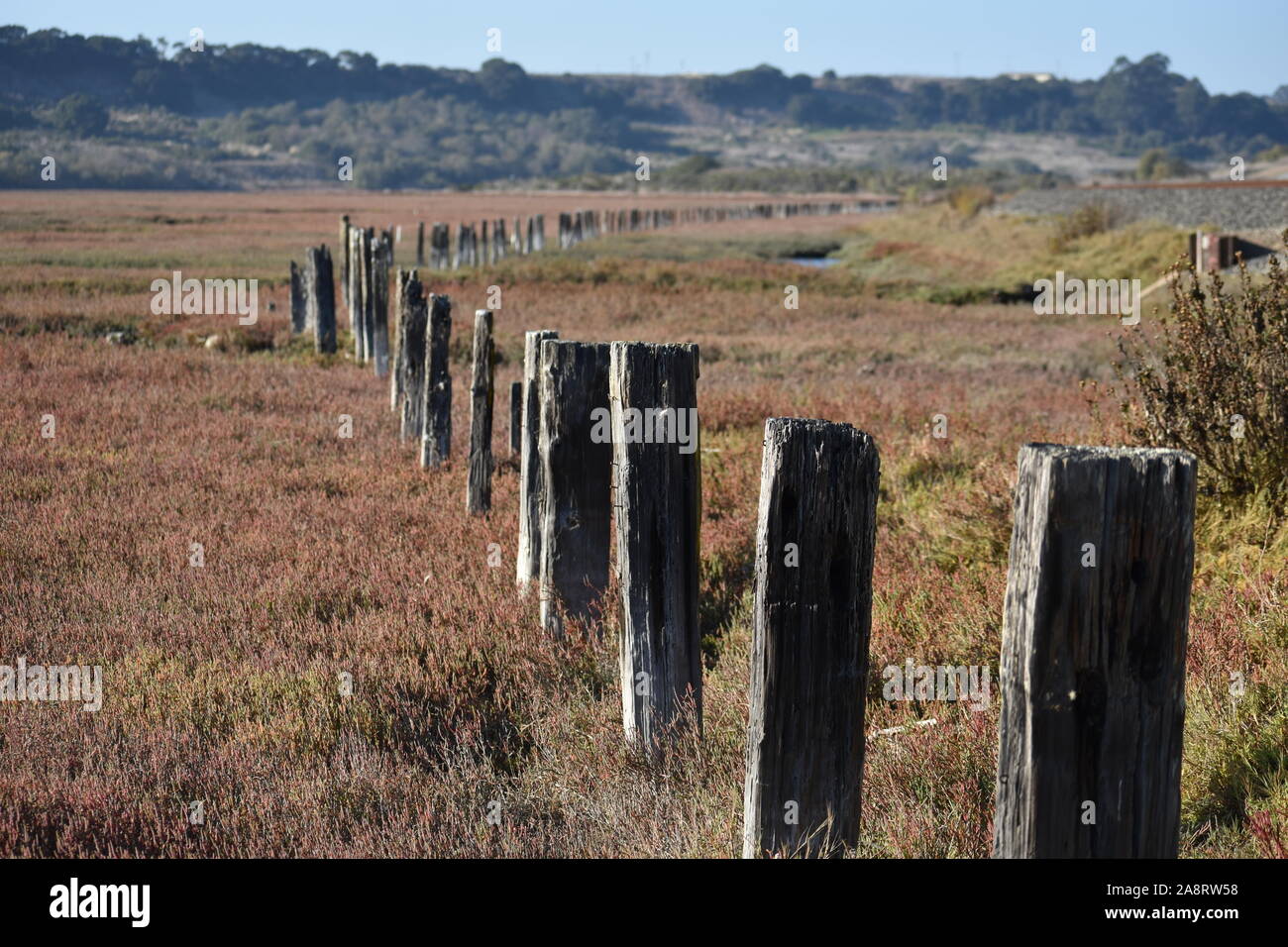 A row of old fence posts, stretching into the distance at Elkhorn ...