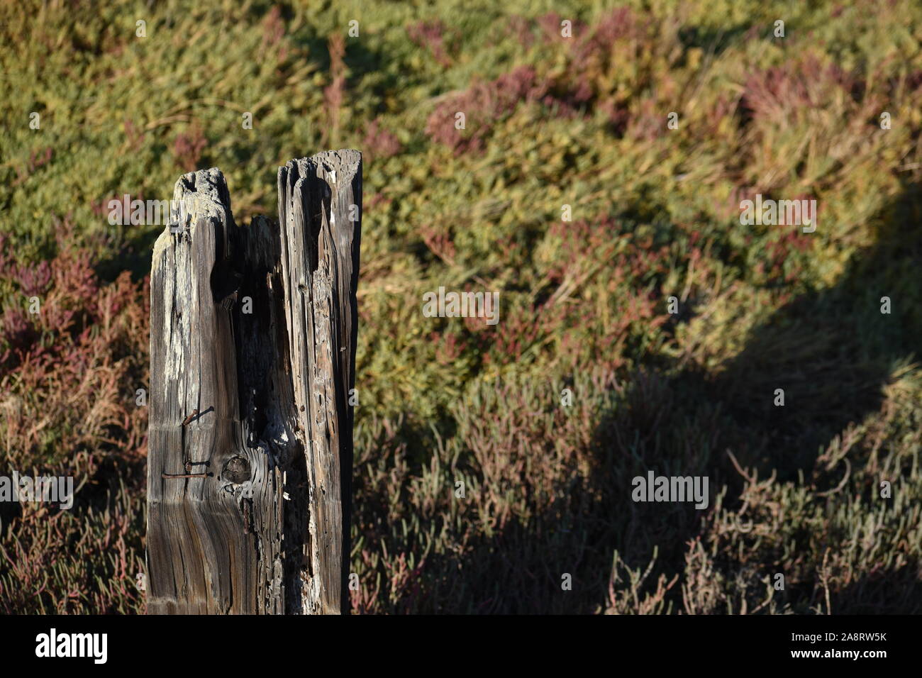 Old weathered wooden fence post hi-res stock photography and images - Alamy