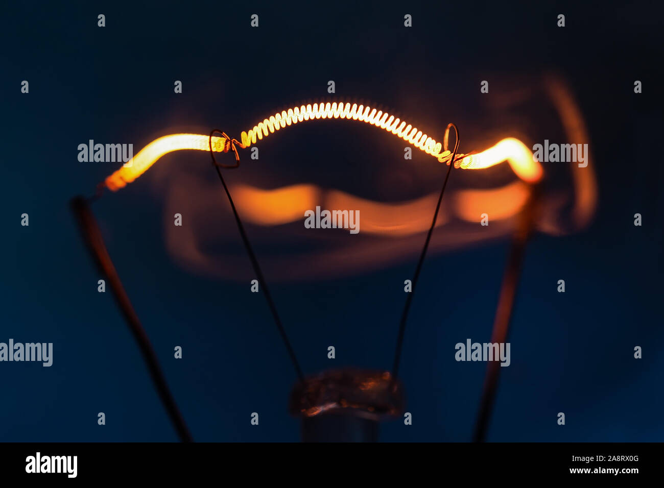 Luminous filament of incandescent lamp close-up on a dark blue ...